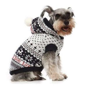 Hoy te mostramos como hacer ropita para perros